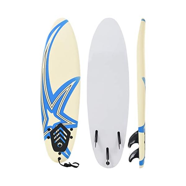 Shortboard - Bin ich bereit für ein Profi-Surfboard? Ihr findest Du es ...