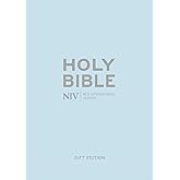 NIV Pocket Rose Gold Terrazzo Soft-tone Bible with Zip : International Version, New: Amazon.de ...