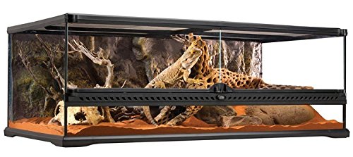 Terrarios para gecko leopardo y crestado