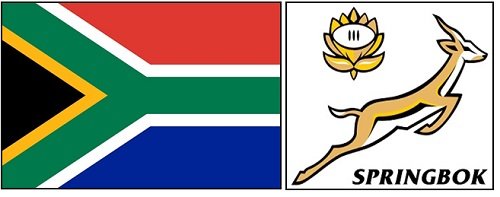 Buy Rugby World Cup 2015 South Africa Badges (2x 58mm) Online at ...