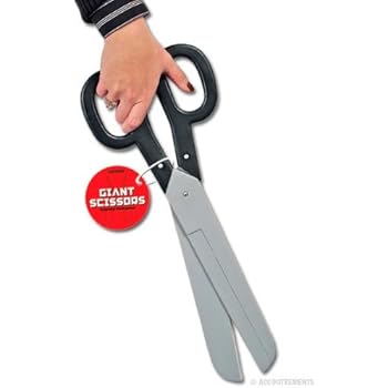 Giant Scissors: Amazon.co.uk: Beauty