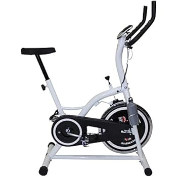 JLL® JF100 Home Exercise Bike, 2019 New Adjustable Magnetic Resistance ...