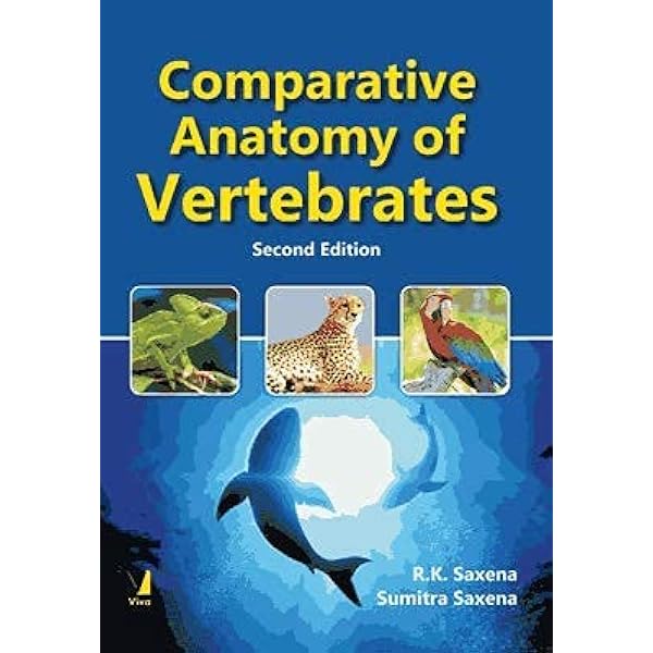 Comparative Anatomy Of Vertebrates