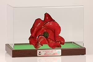 Compact Tower of London Ceramic Poppy Display Case with Hand Crafted ...