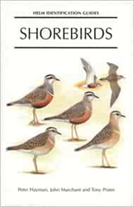 Shorebirds: Identification Guide to the Waders of the World (Helm ...