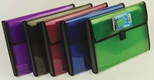 Foldermate 154-tb Expanding File Folder With 12 Dividers, Transparent ...