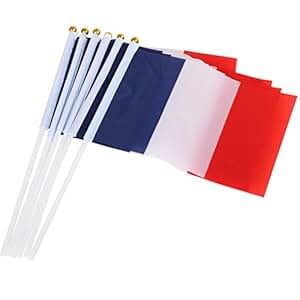 TRIXES 10 Drapeaux Français en Nylon Tricolore à Main pour Le 14 ...