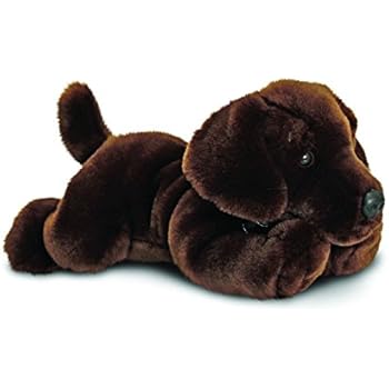 Gund 23cm Nayla Cockapoo Soft Toy: Amazon.co.uk: Toys & Games