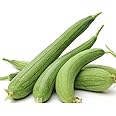 Sponge Gourd, Nenua Seeds, Nethi Birakai Seed 50 Seeds, Long For ...