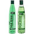 Set of 2 - XHC Tea Tree Oil Moisturising Shampoo & Conditioner (400ml) : Amazon.co.uk: Beauty
