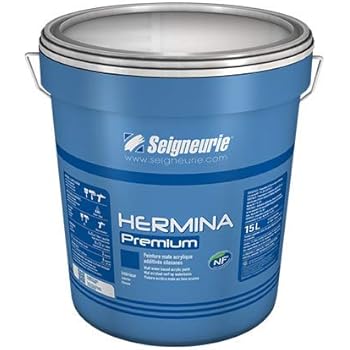 Peinture Seigneurie Pantex 900 Blanc 15L: Amazon.fr: Bricolage