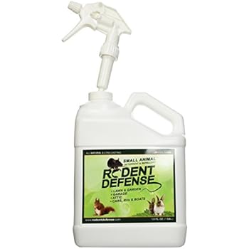 Rodent Defense - Small Animal Deterrent and Repellent Spray - For Rats ...