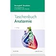 Benninghoff Taschenbuch Anatomie : Drenckhahn, Detlev, Waschke, Jens ...