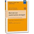 Betrieb von elektrischen Anlagen: Erläuterungen zu DIN VDE 0105-100:2015-10 (VDE-Schriftenreihe ...