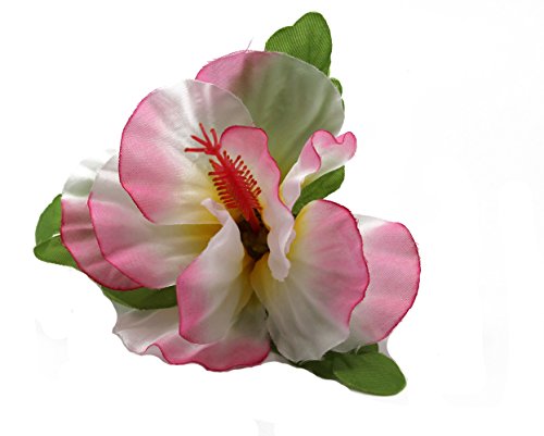 Flores hawaianas. Nombres y significados - Happy Hawaii