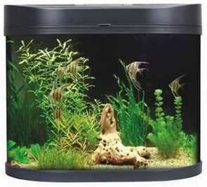Fish R Fun 27Litre Medium Bow Fronted Aquarium Tank Black : Amazon.co ...