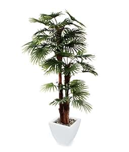Closer2Nature Artificial 6ft Finger Palm Tree - Portofino Planter Not ...