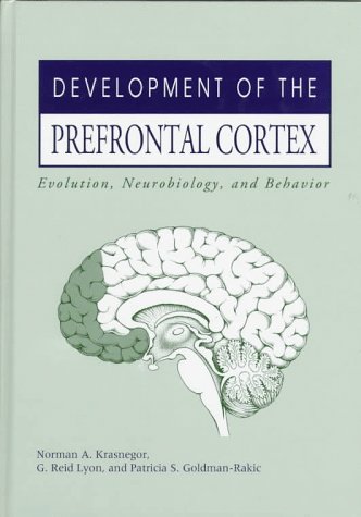 Buy Development of the Prefrontal Cortex: Evolution, Neurobiology, and ...