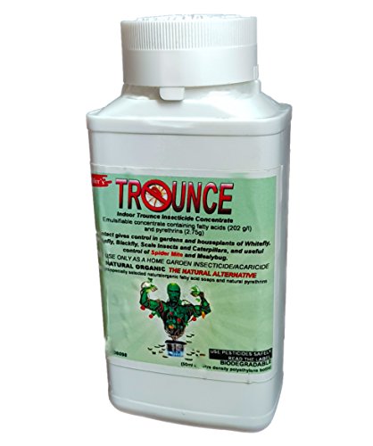 Buy Safer's Trounce Insecticidal Soap Concentrate 250ml Mix with Water ...