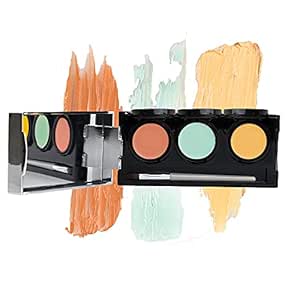 Dermaflage Color Correcting Palette, Color Corrector Cream, 5 Color ...