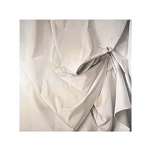 Sabine fine art print by Alison Watt, 50cm x 50cm: Amazon.co.uk ...