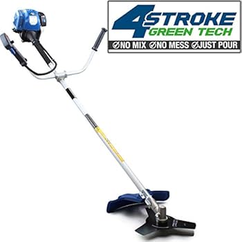 Ryobi 25.4CC 2-in-1 Petrol Full Crank Grass Brush Cutter with ergo ...