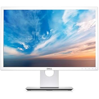 Dell P2217WH-WHITE Flat Computer Monitor - White: Amazon.co.uk ...