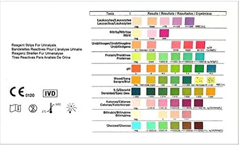 10x (10 parameter) Urinalysis test strips for liver, kidney functions ...