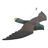 STV GARDEN FLYING FALCON BIRD DECOY SCARER REPELLER NEW: Amazon.co.uk ...