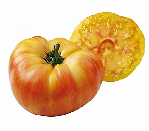 Caractéristiques de la tomate ananas et comment la cultiver