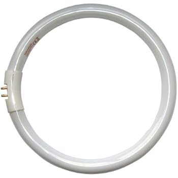 22W T5 Circular fluorescent tube, 225mm diameter , 4pin 2Gx13 warm ...