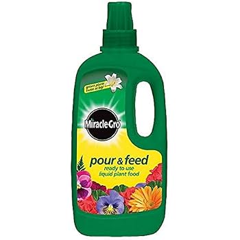 Miracle-Gro All Purpose Concentrated Liquid Plant Food 1L: Amazon.co.uk ...