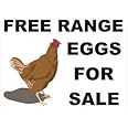 Smarts-Art Free Range Eggs For Sale Sign Plate Plaque 3Mm Rigid 200Mm X ...