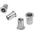 M3 M4 M5 M6 M8 M10 M12 ZINC FLANGE RIVNUTS THREADED BLIND RIVET NUTS ...