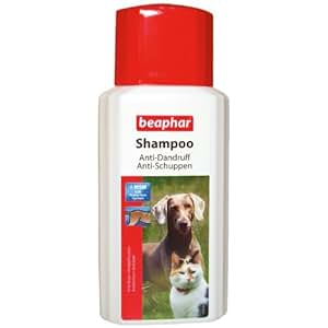 Beaphar Anti-Dandruff Shampoo for Dogs & Cats +MSM 200ml H88: Amazon.co ...