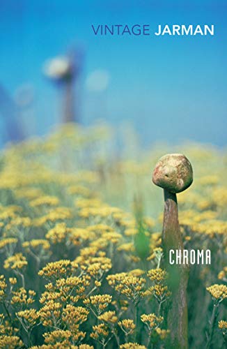 Chroma: A Book of Colour - June '93: Amazon.co.uk: Jarman, Derek, Smith ...