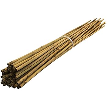 Gardman 180cm Willow Bean Sticks: Amazon.co.uk: Garden & Outdoors