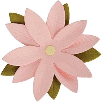Sizzix Thinlits Fustella, Capesante di Fiori: Amazon.it: Casa e cucina