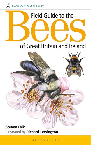 Field Guide to the Bees of Great Britain and Ireland (Bloomsbury ...