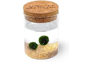 Amazon.it Bestseller: Gli articoli più venduti in Prodotti Handmade