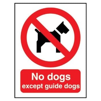 No dogs except assistance dogs sign - Self adhesive sticker 200mm x ...