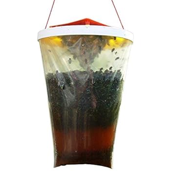 Red Top Fly Traps Fly Trap Original Top: Amazon.co.uk: Garden & Outdoors