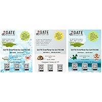 Buy GATE Overflow for GATE CSE 2022: All Previous year GATE CSE Questions and Solutions (3 ...