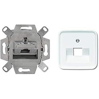 Telegärtner Datenanschlussdose Cat6A 2-Fach 2xRJ45 J00020A0500 AMJ45 8/ ...