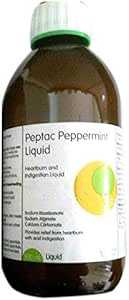 Peptac Peppermint Liquid x 500ml : Amazon.co.uk: Grocery