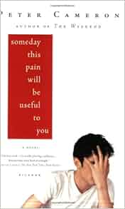 Someday This Pain Will Be Useful to You: Amazon.co.uk: Peter Cameron: Books