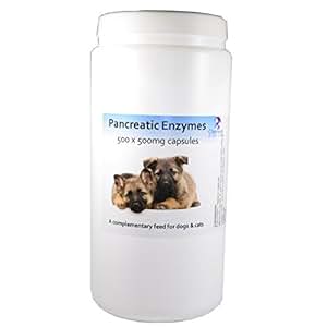 Pancreatic Digestive Enzyme Capsules for Dogs & Cats - Amylase ...