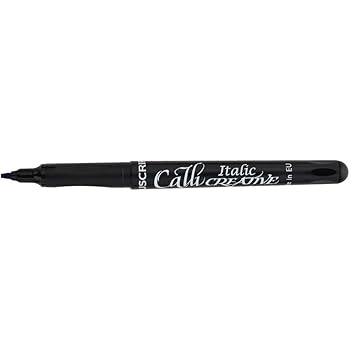 Papermate Berol Italic Calligraphy Lettering Pens Pack of 2 Pens ...