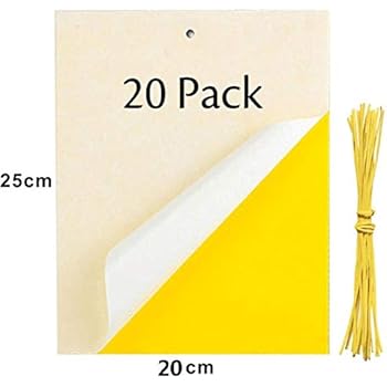 Haimist 16 Pesticide Free Fly Paper, Sticky Fly Catchers Set for Indoor ...