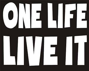One Life Live It Funny Joke Novelty Car Bumper Sticker 7.5x5.5": Amazon ...